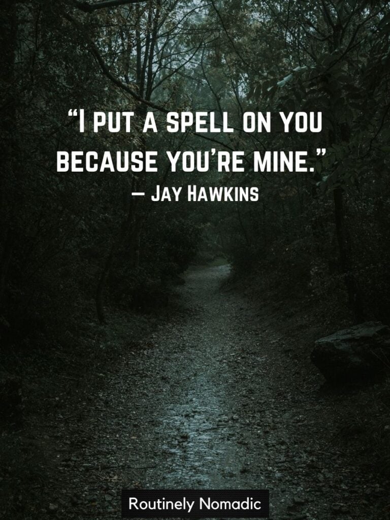 100 Vampire Captions and Quotes for that Fangtastic Aesthetic ...