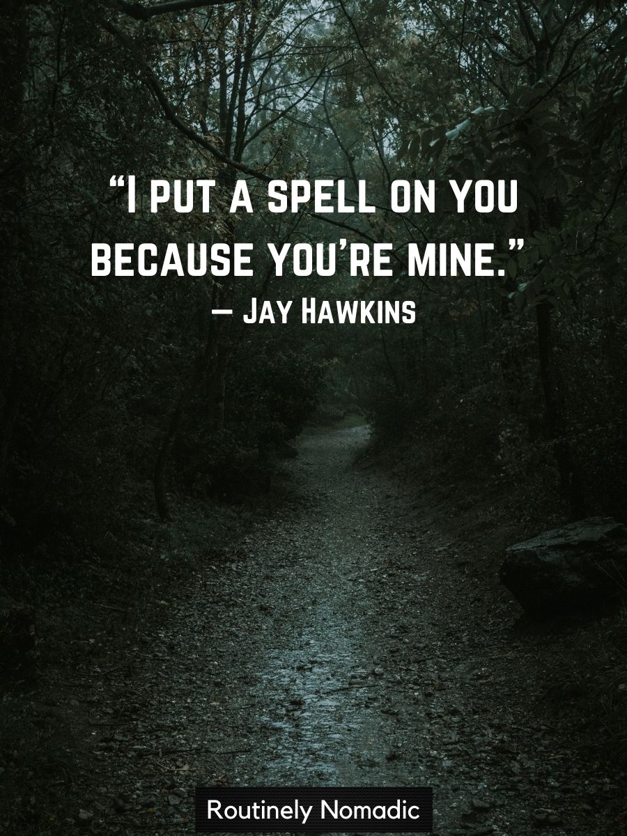 100 Witch Captions and Quotes for that Spooky Aesthetic - Routinely Shares