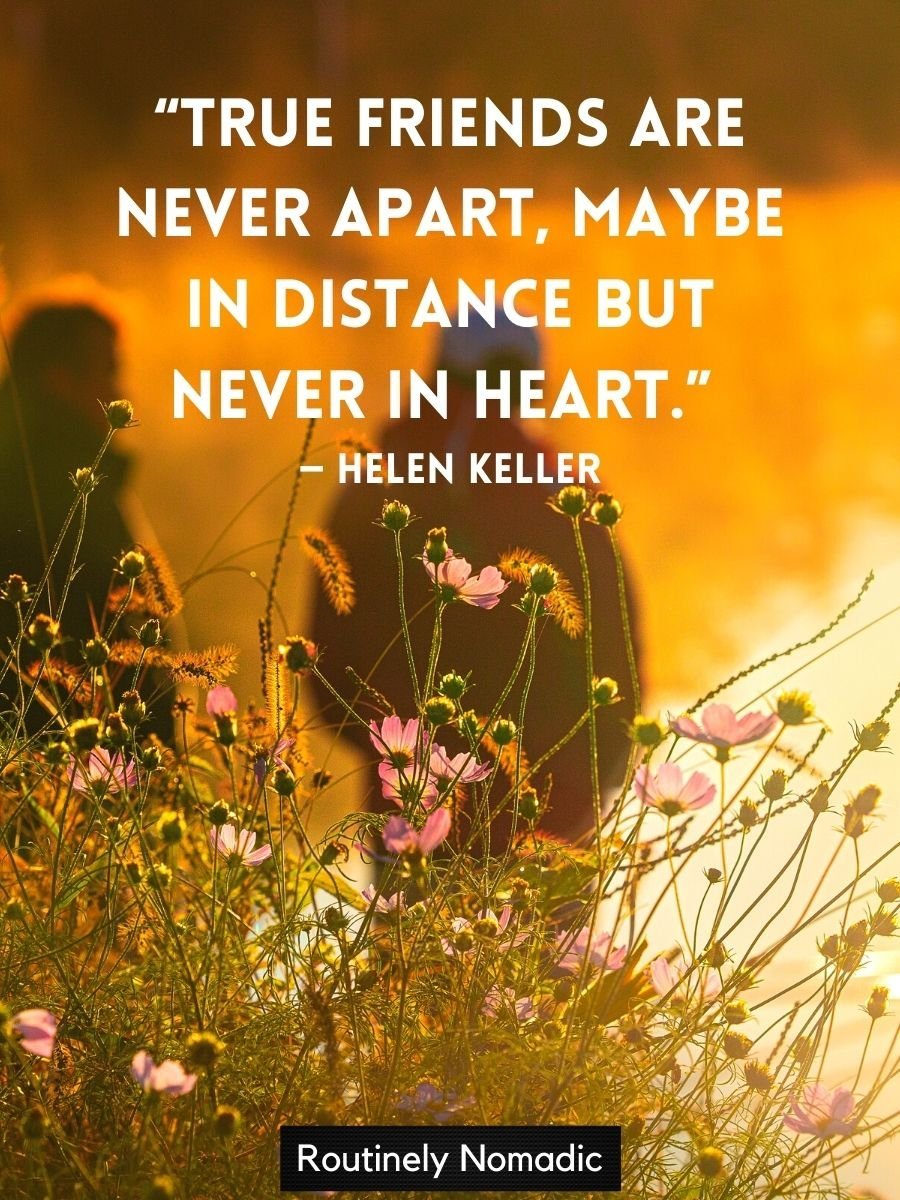 100 Short Friendship Quotes for all Your BFFs - Routinely Shares