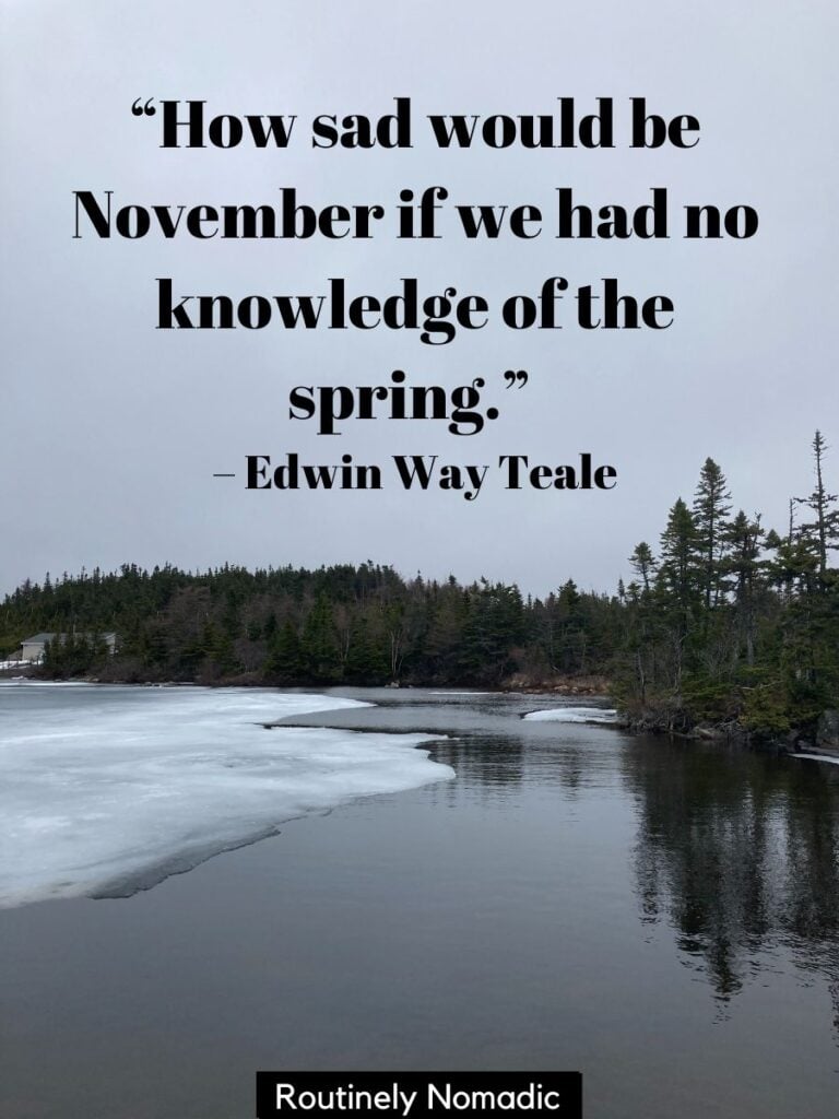 145 Hello November Quotes for When You are Happy to Welcome the Most ...