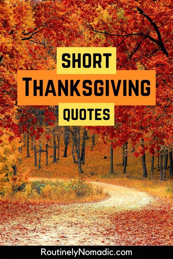 100 Short Happy Thanksgiving Quotes for that Thankful Aesthetic ...