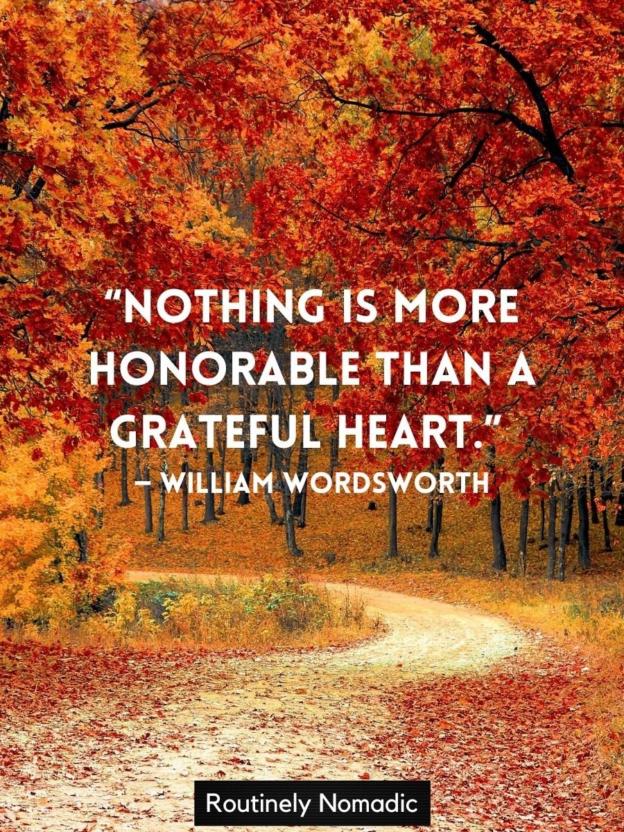 100 Short Happy Thanksgiving Quotes for that Thankful Aesthetic ...