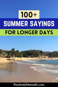 100 Cute Summer Sayings for Signs and Kids for that Summery Vibe ...