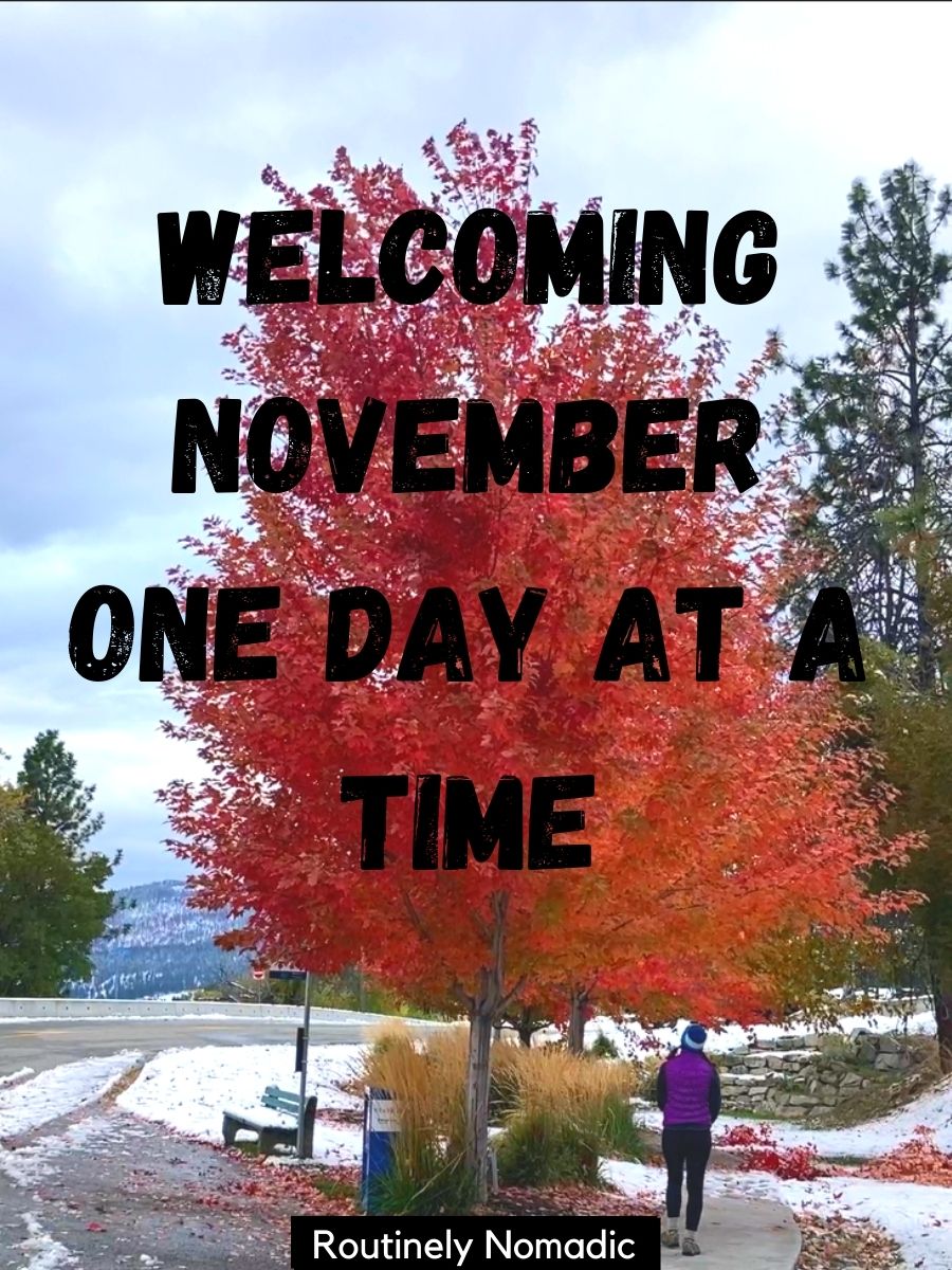 145 Hello November Quotes for When You are Happy to Welcome the Most ...