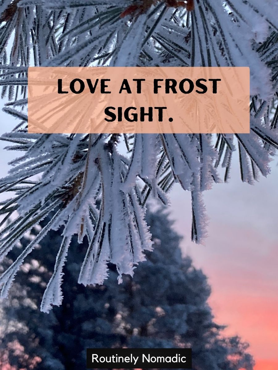 270 Funny Snow Puns, Jokes and One Liners for Winter Humor - Routinely ...