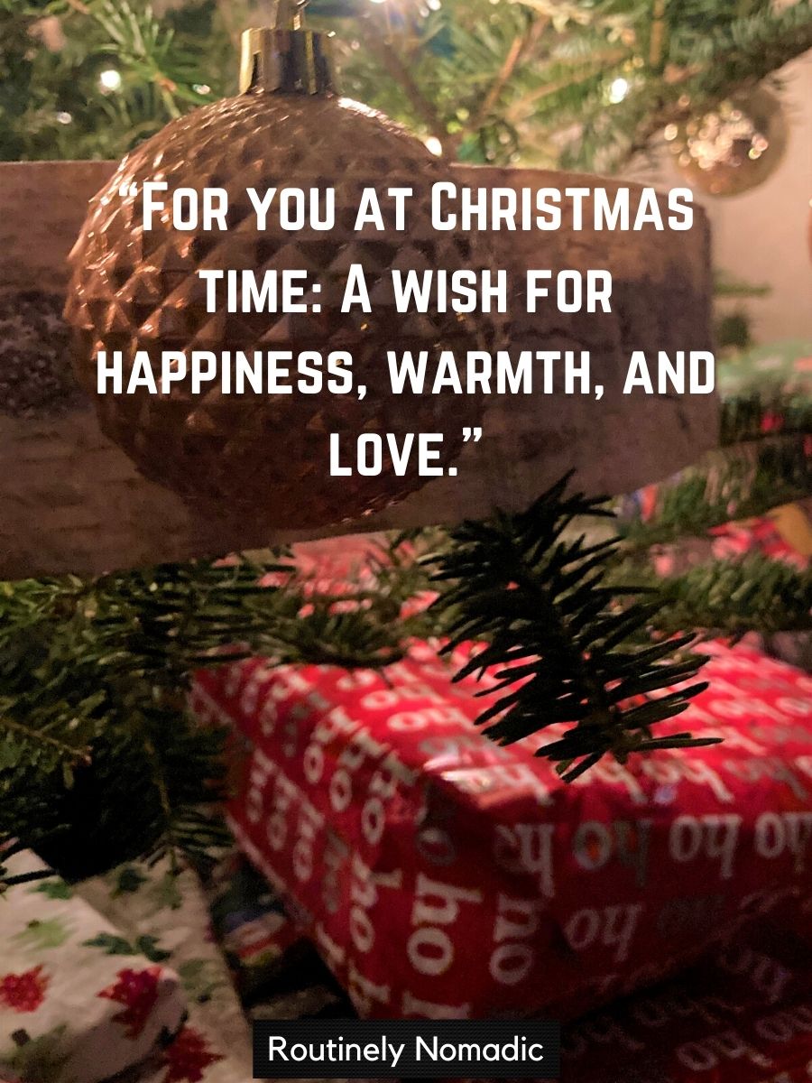 100 Best Merry Christmas Greetings for Cards for Friends and Family ...