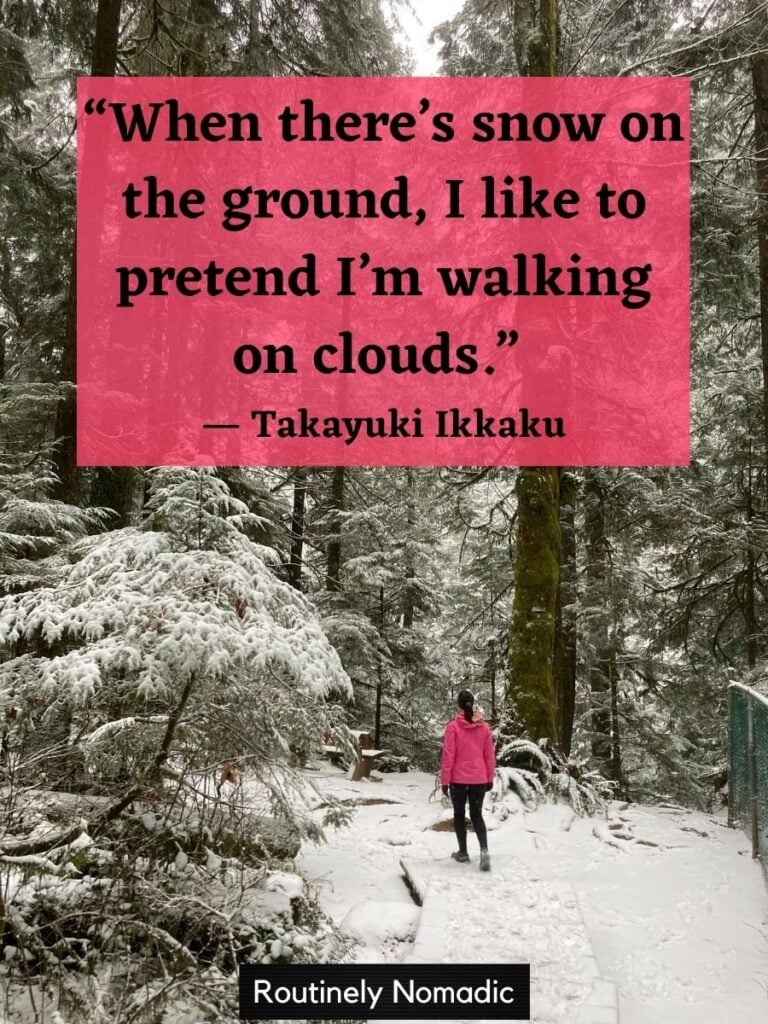 110 Short and Inspirational Snowflake Quotes for that Unique Aeshetic ...