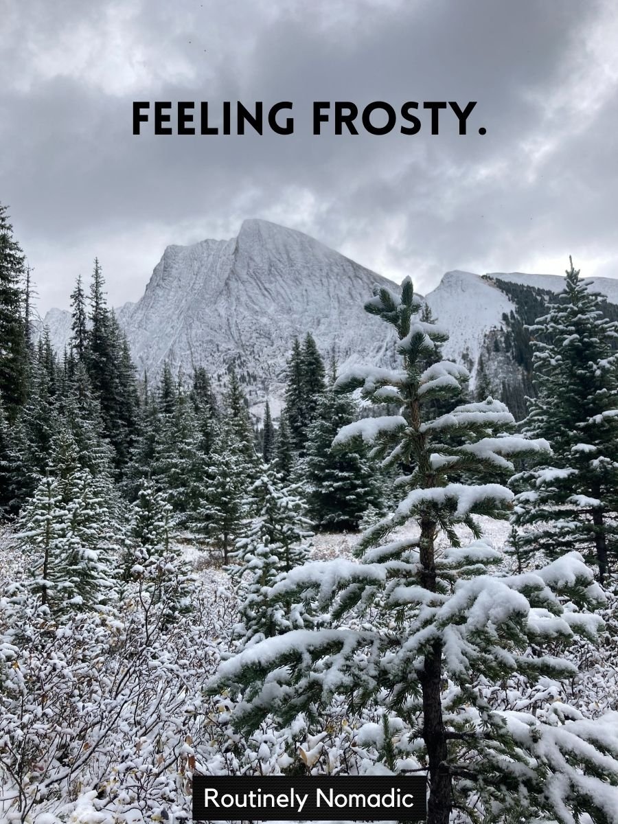 270 Funny Snow Puns, Jokes and One Liners for Winter Humor - Routinely ...