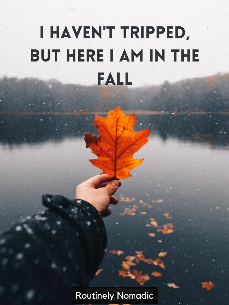 260 Beauti-fall Fall Puns for a Funny Autumn - Routinely Shares