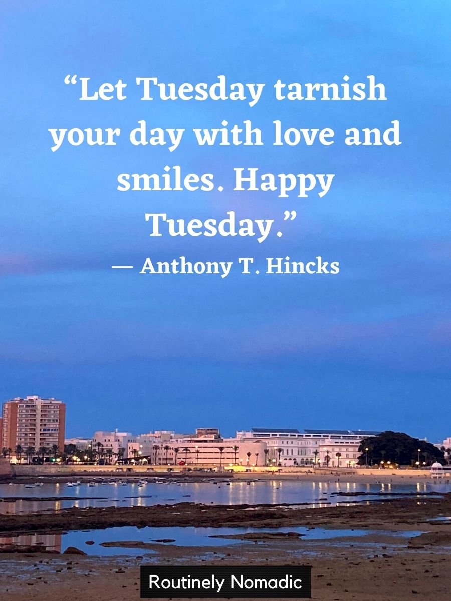 100 Funny Tuesday Quotes to Start Your Morning with Humor - Routinely ...