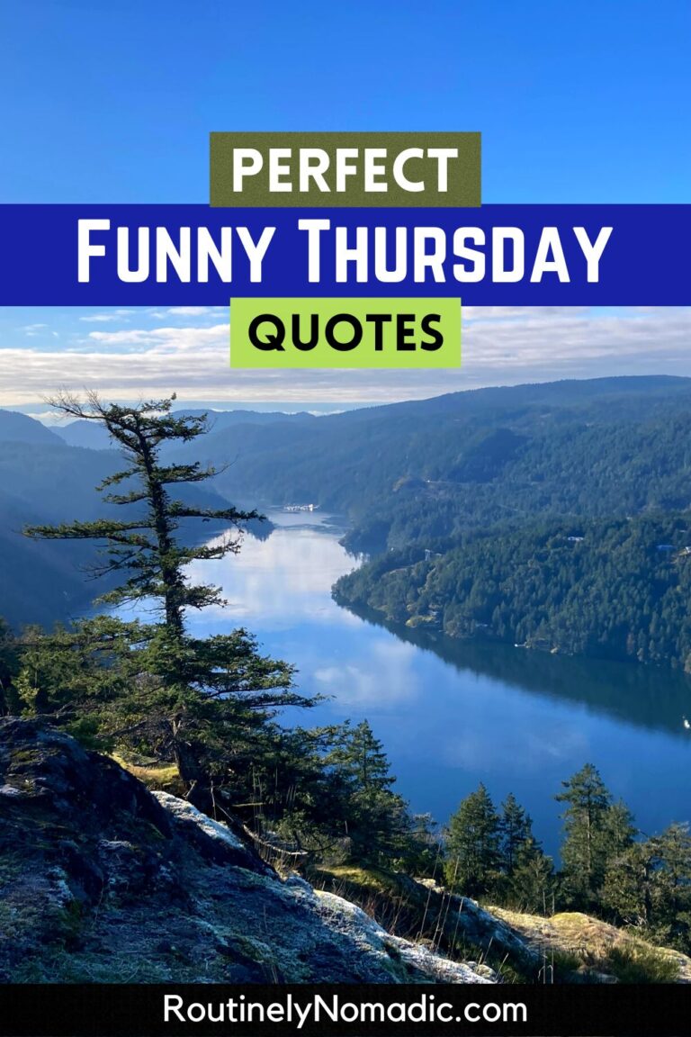 100 Funny Thursday Quotes for that Hilarious Vibe - Routinely Shares