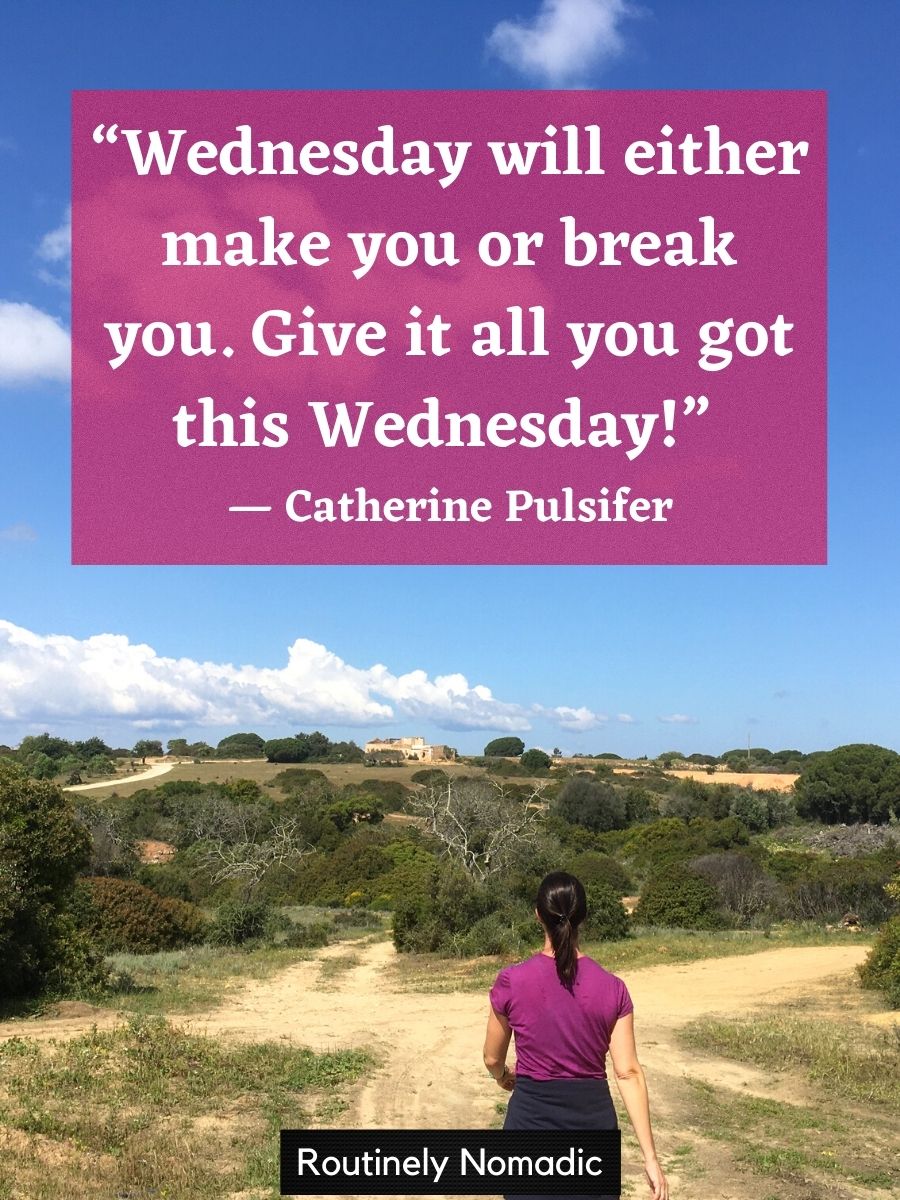 100 Funny Wednesday Quotes to Start Your Morning with Humor - Routinely ...