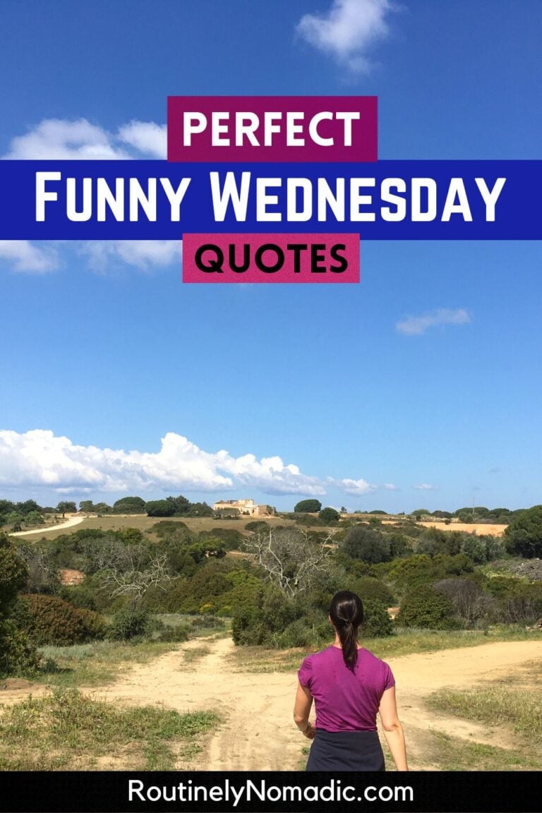 100 Funny Wednesday Quotes to Start Your Morning with Humor - Routinely ...