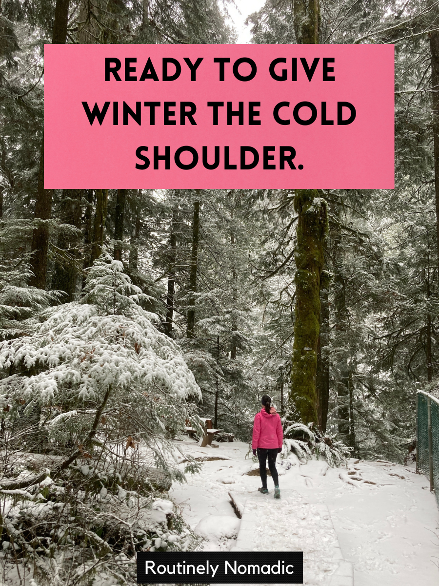 300 Cute and Short Winter Sayings for those Cozy Vibes - Routinely Shares