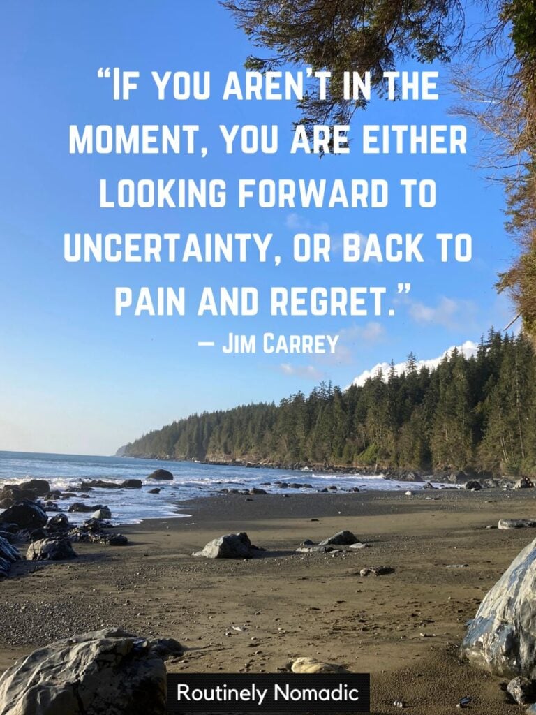 100 Short Enjoy the Moment Quotes to Find Happiness in Life's Little ...