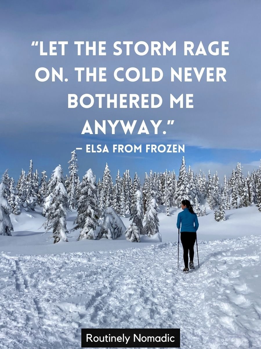 85 Funny Winter Quotes and Sayings for Those Freezing but Hilarious ...
