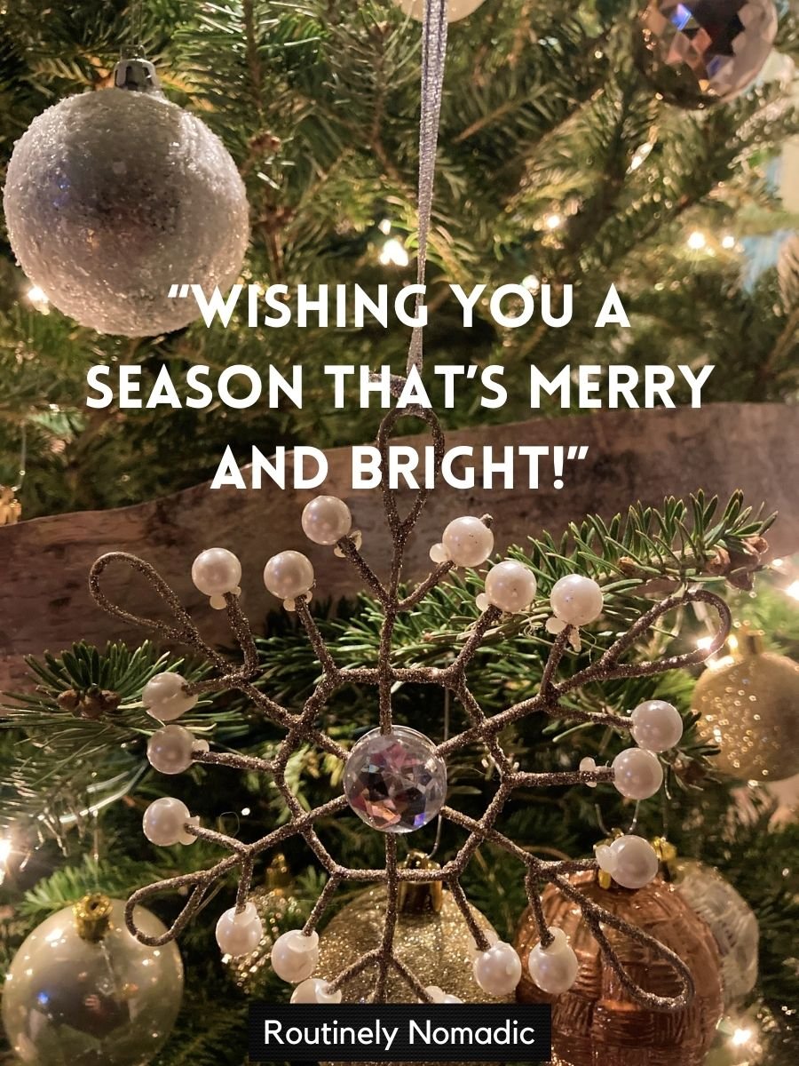 Happy Holidays Messages and Quotes for Festive Seasons Greetings ...