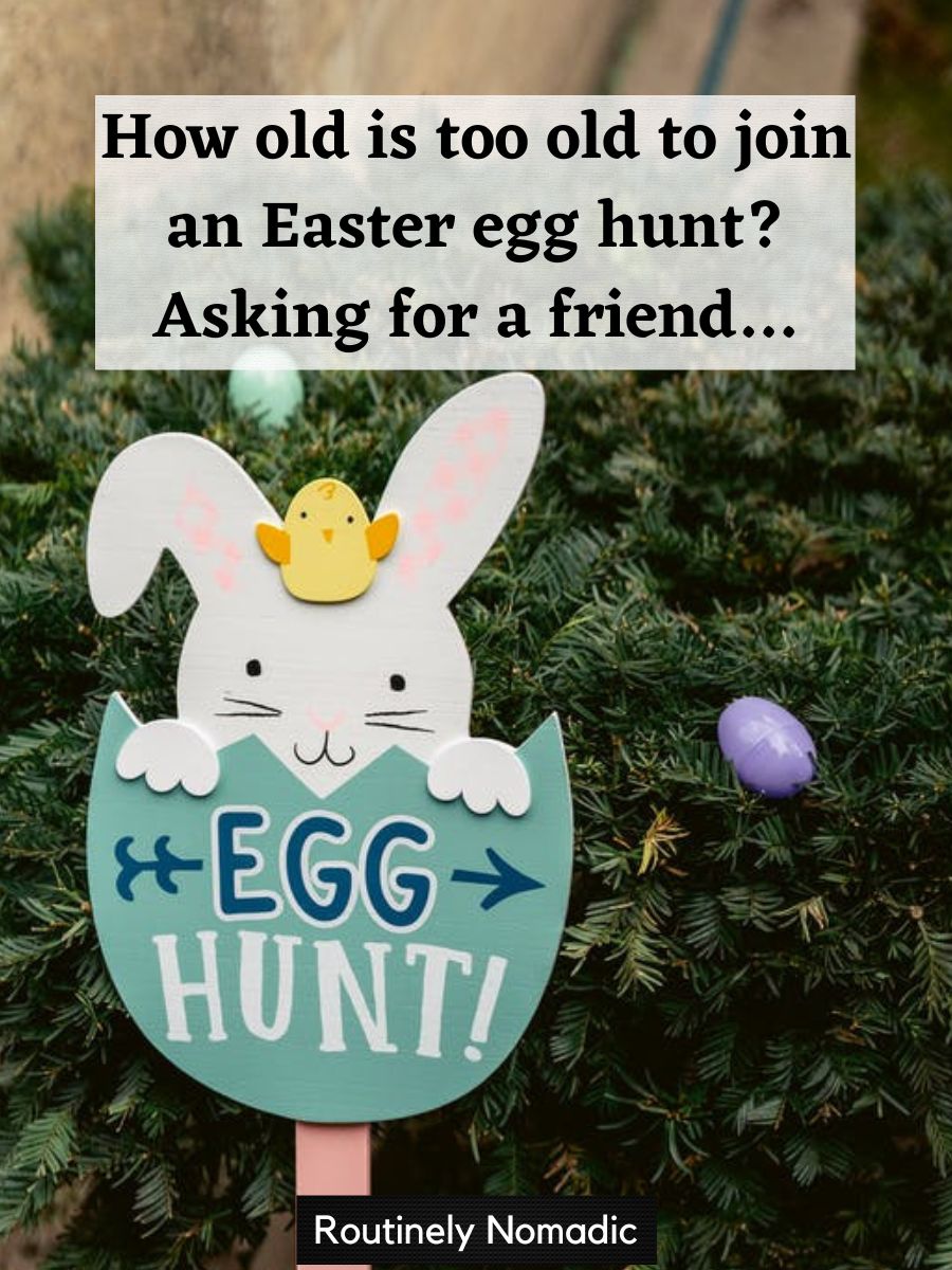 Funny Easter Letter Board Quotes and Sayings - Routinely Shares