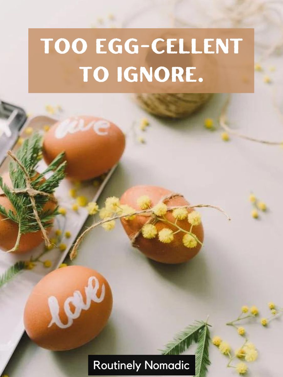 200 Funny Easter Puns and Jokes to Add Humor to the Holiday - Routinely ...