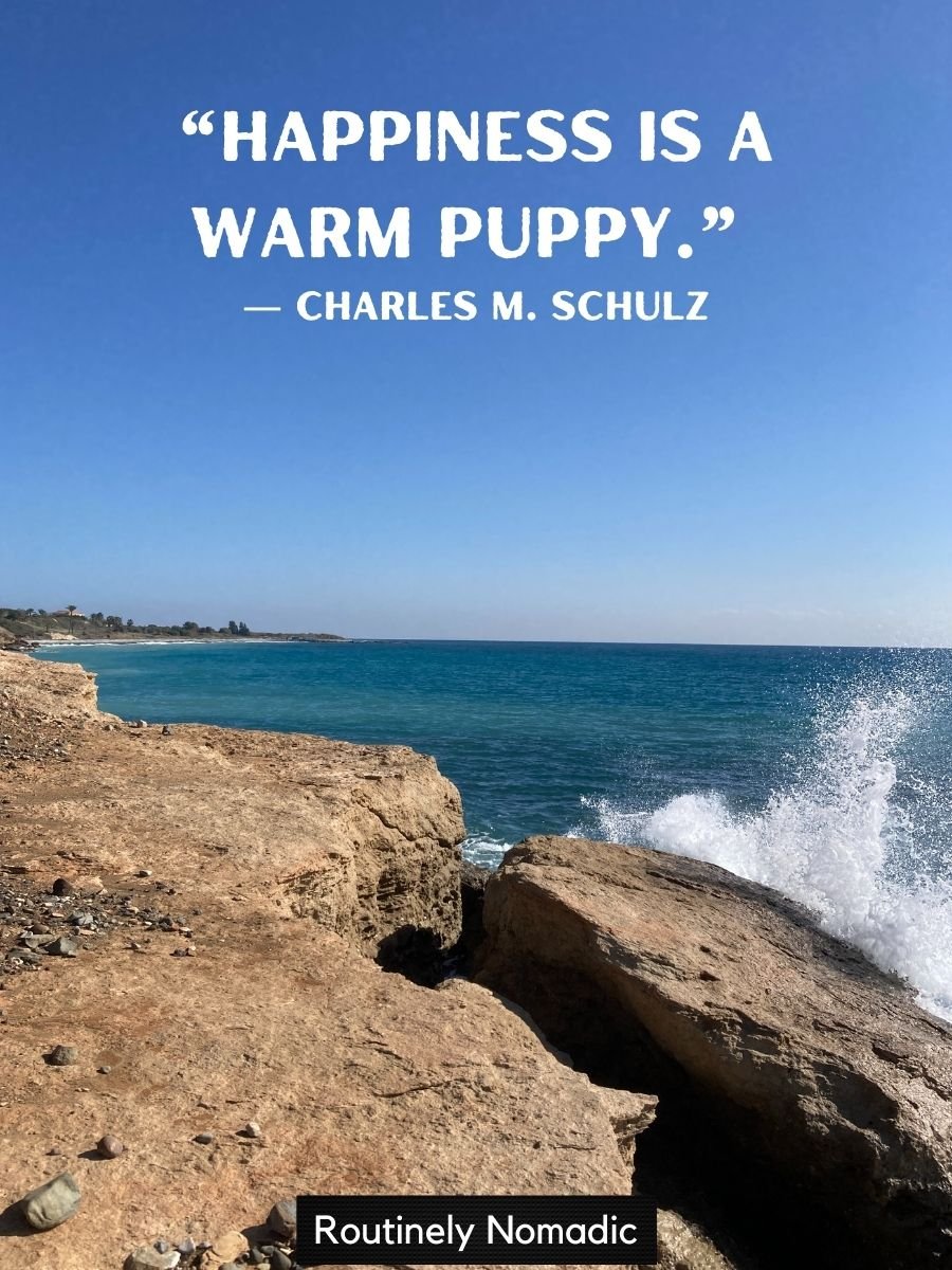 100 Short Funny Happy Quotes for All the Positive Good Vibes ...