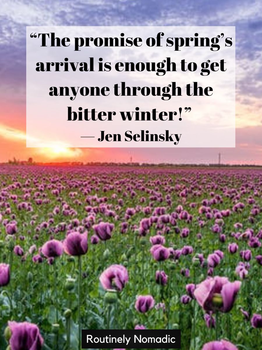 Inspirational Spring Quotes and Sayings for Beautiful Beginnings ...