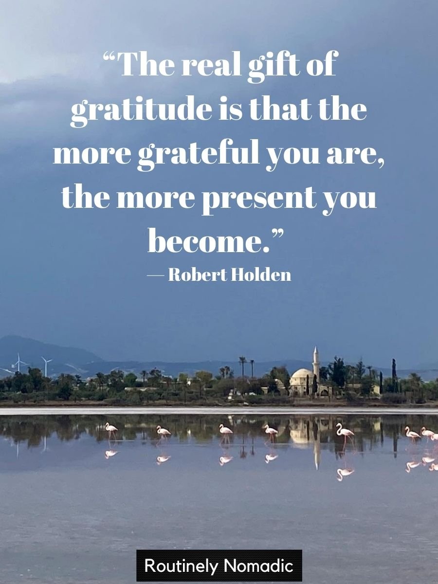 150 Feeling Blessed Quotes About Gratitude and Being Thankful ...
