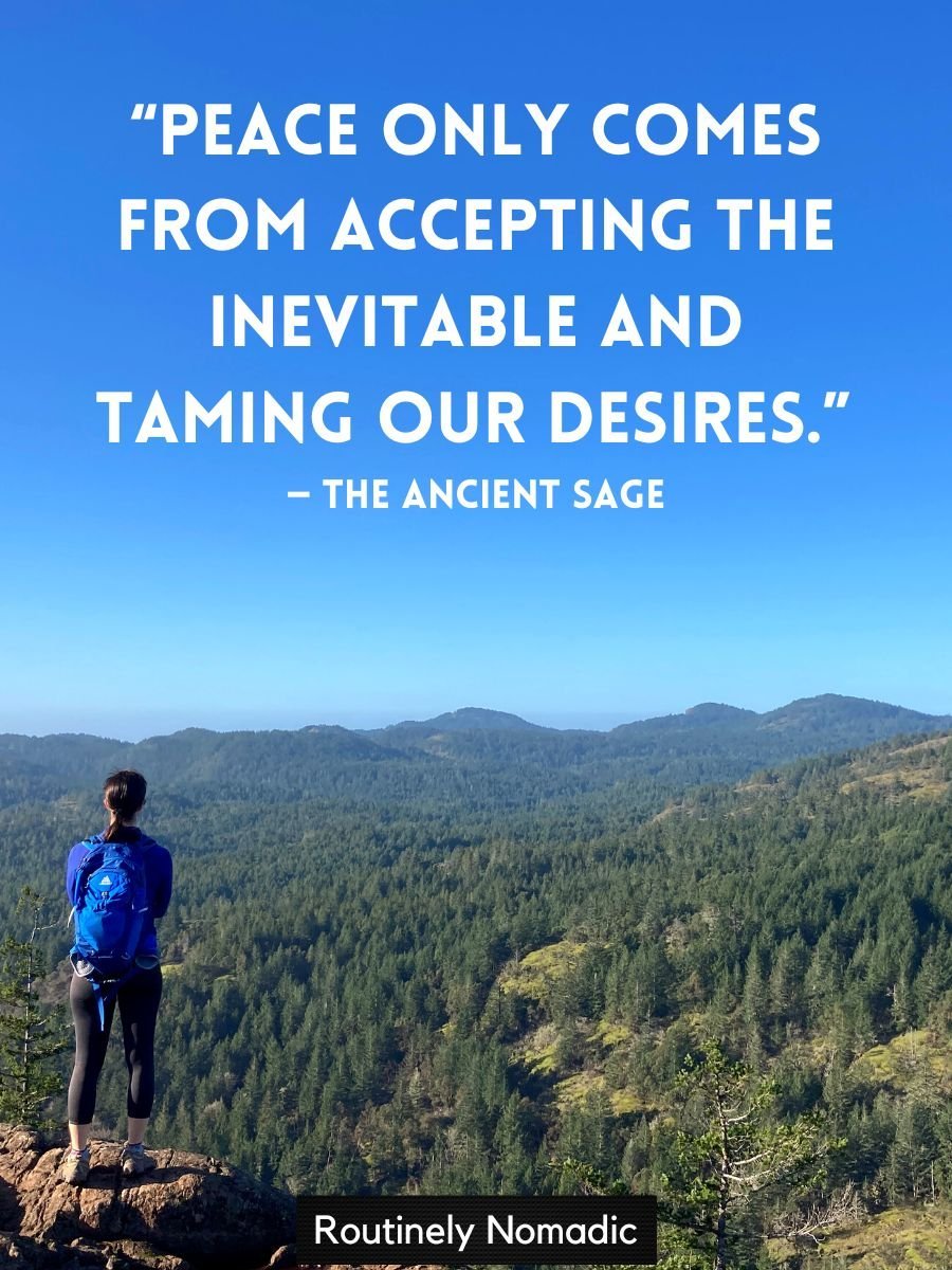 100 Short Finding Peace Quotes for that Letting Go Aesthetic ...