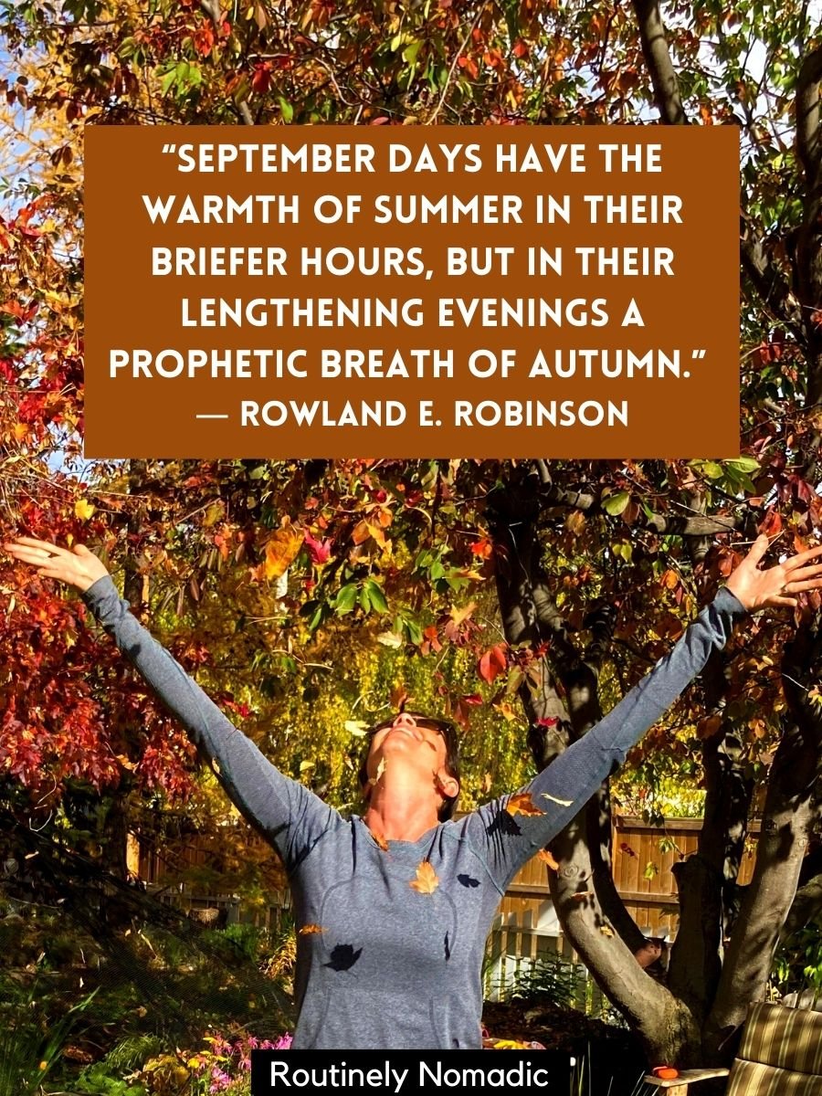 145 Funny Fall Quotes for that Hilarious Autumn Vibe - Routinely Shares