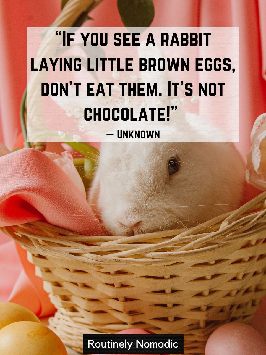 160 Cute Short Happy Easter Quotes and Sayings - Routinely Shares