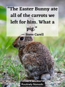 160 Cute Short Happy Easter Quotes and Sayings - Routinely Shares