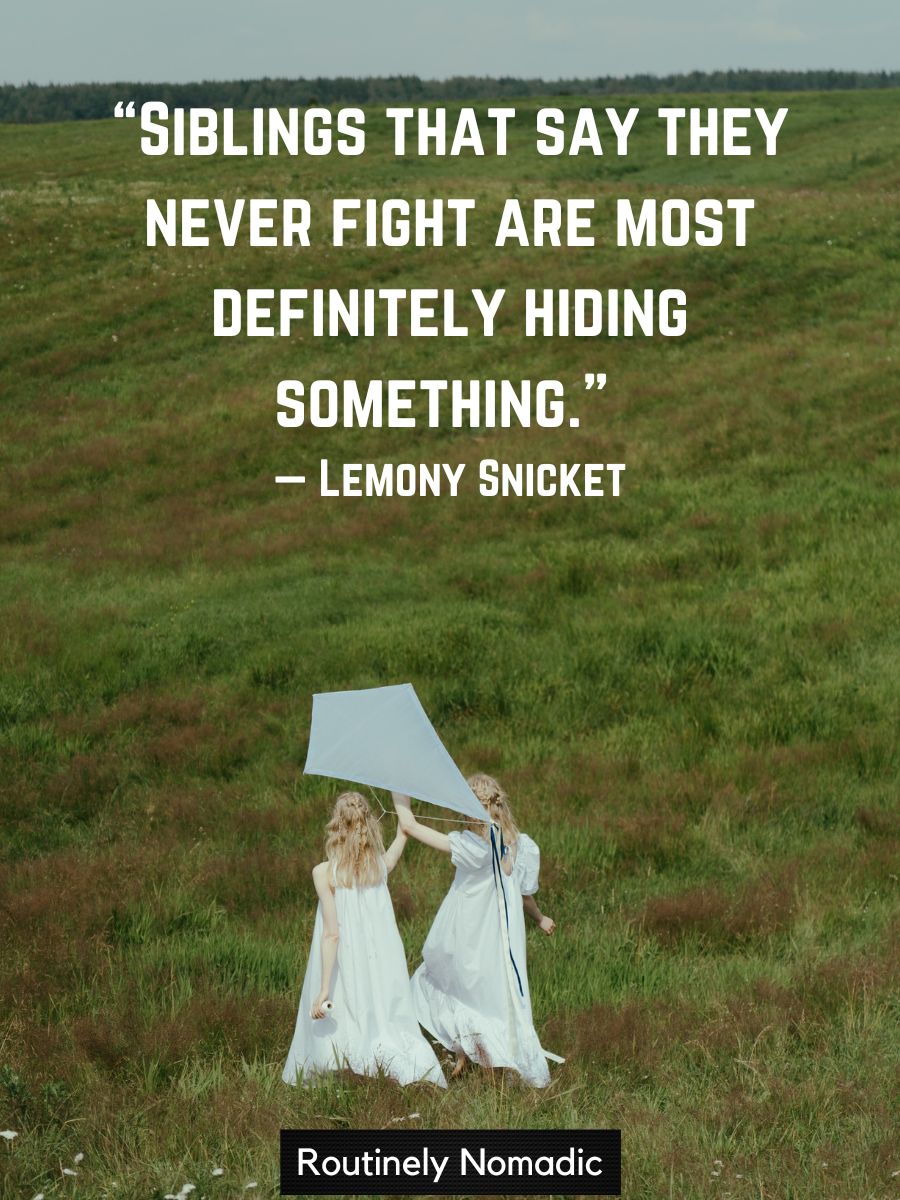 100 Funny Sibling Quotes for those Hilarious Brother and Sister Moments ...