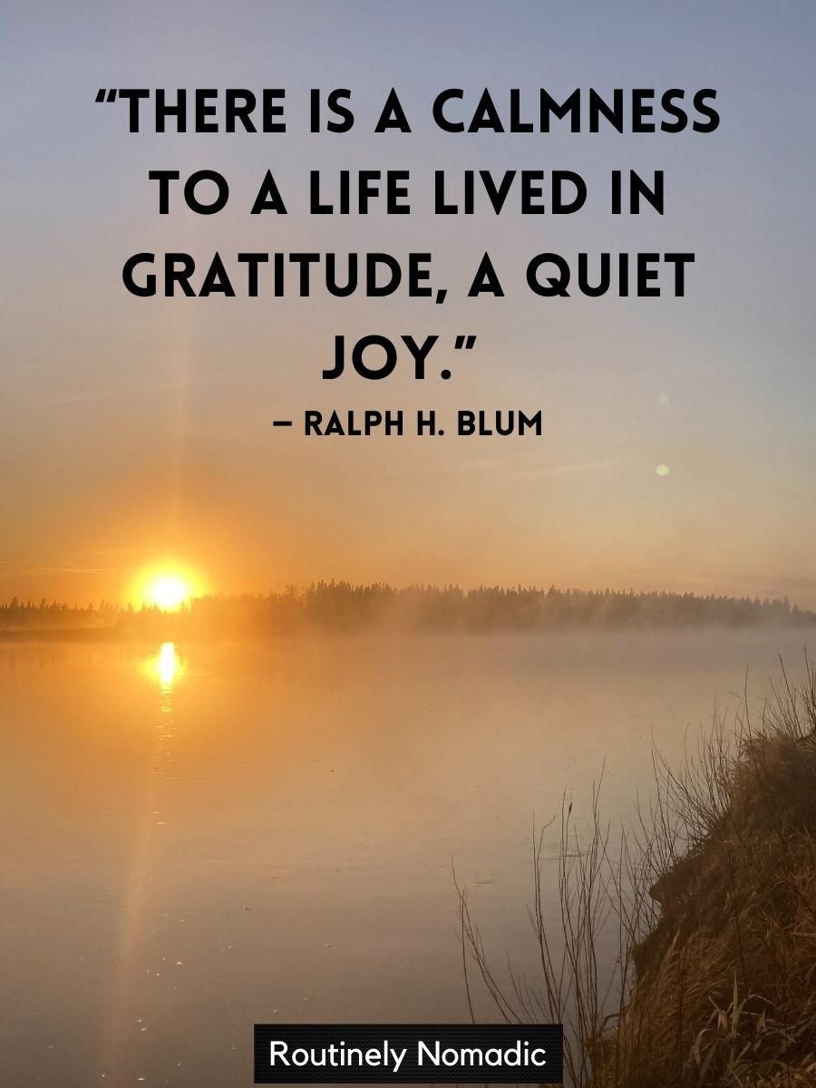 150 Feeling Blessed Quotes About Gratitude and Being Thankful ...
