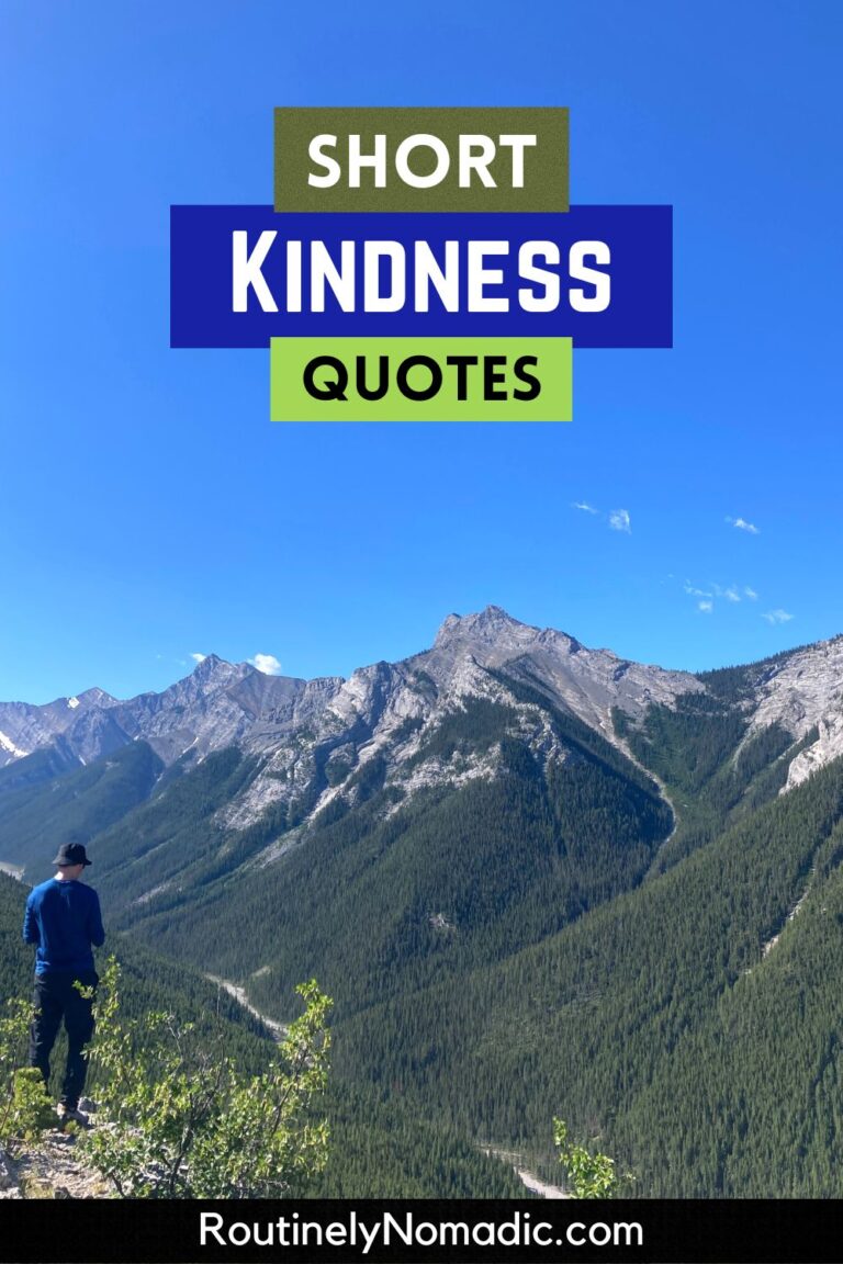 100 Inspirational Short Kindness Quotes for that Positive Aesthetic ...