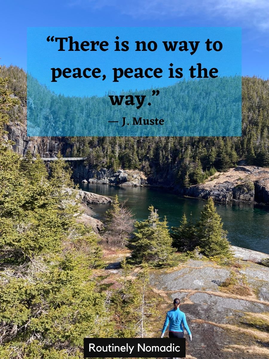 100 Short Finding Peace Quotes for that Letting Go Aesthetic ...