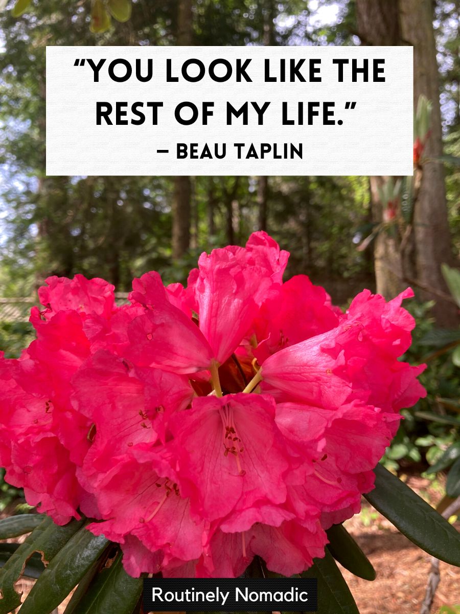 100 Short Inspirational Valentine’s Day Quotes for About Love ...