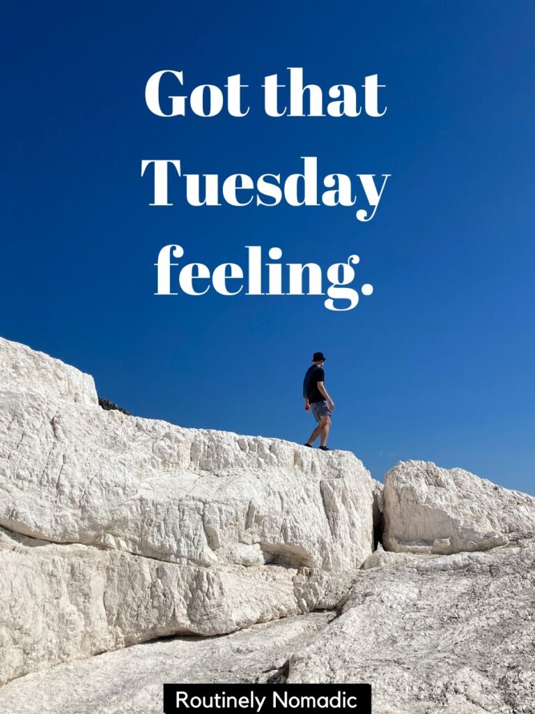 100 Happy Tuesday Captions for Instagram - Routinely Shares