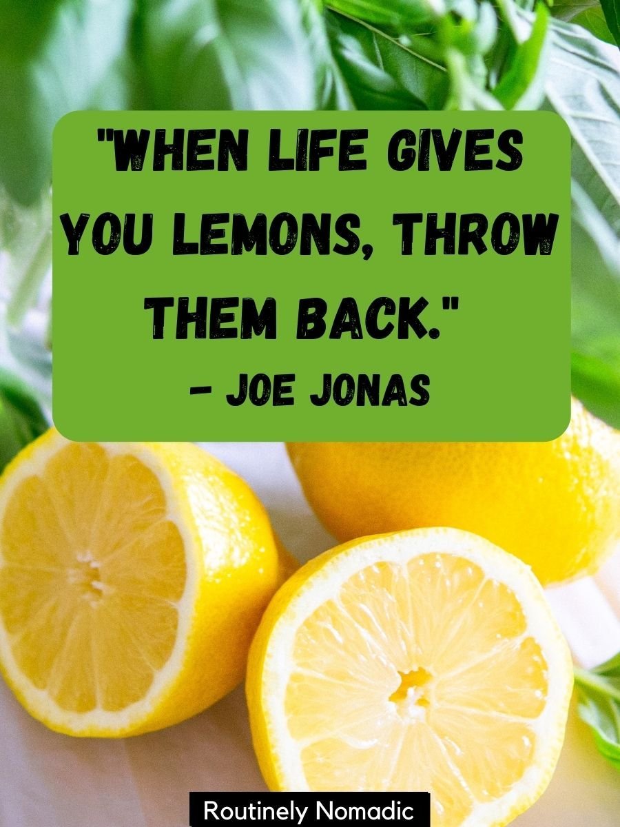 100 Inspiring and Funny When Life Gives You Lemons Quotes - Routinely ...