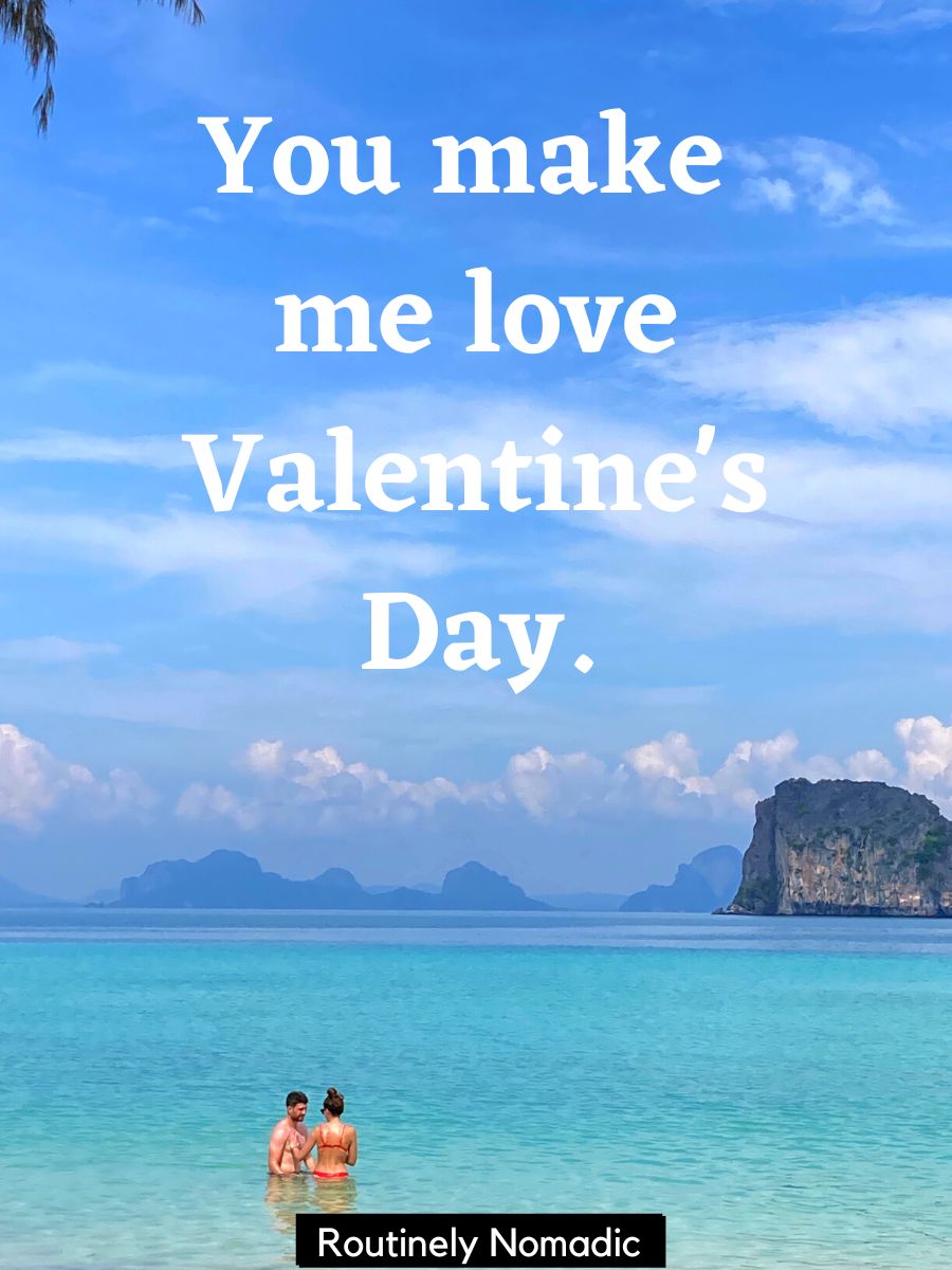 Funny Valentine’s Day Quotes, Messages and Sayings to Add Humor to the ...