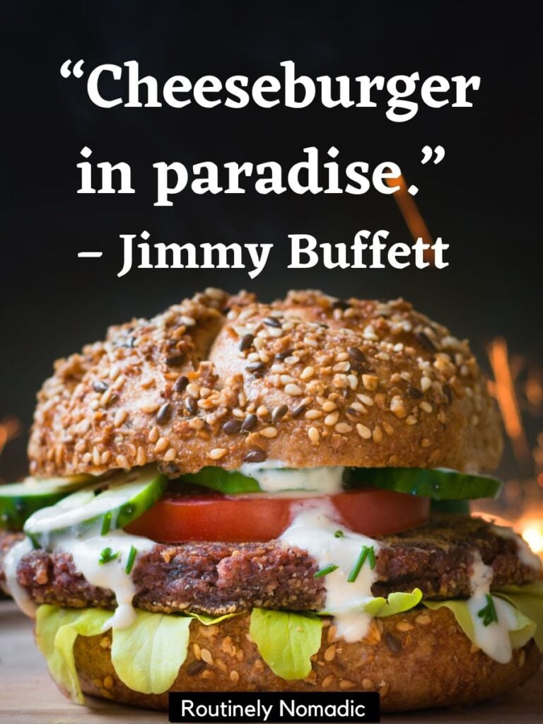 135 Best Burger Captions, Quotes and Puns for Instagram - Routinely Shares