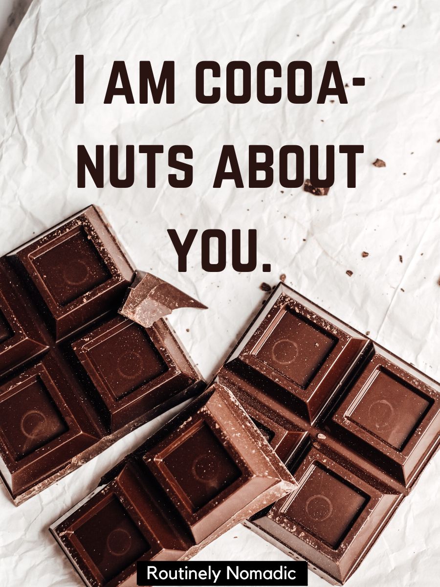 145 Delicious Dessert Captions, Quotes and Puns for that Sweet Treat ...