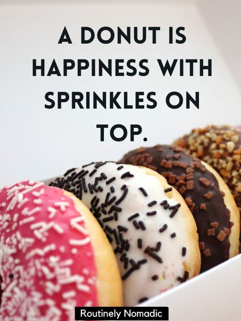 115 Tasty Donut Captions (With Quotes and Puns) - Routinely Shares