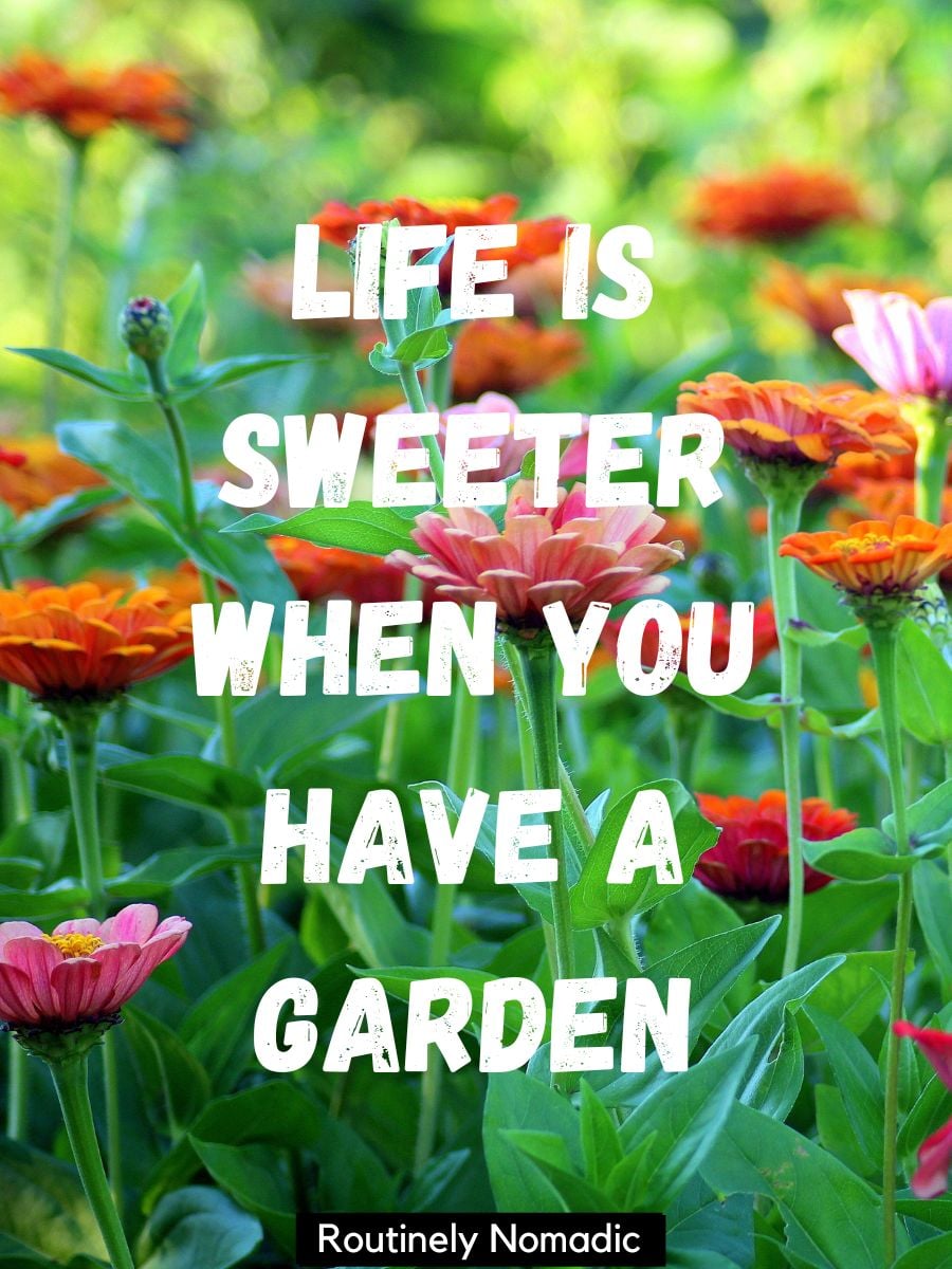 100 Short Aesthetic Green Quotes for all of Life's Green Moments ...