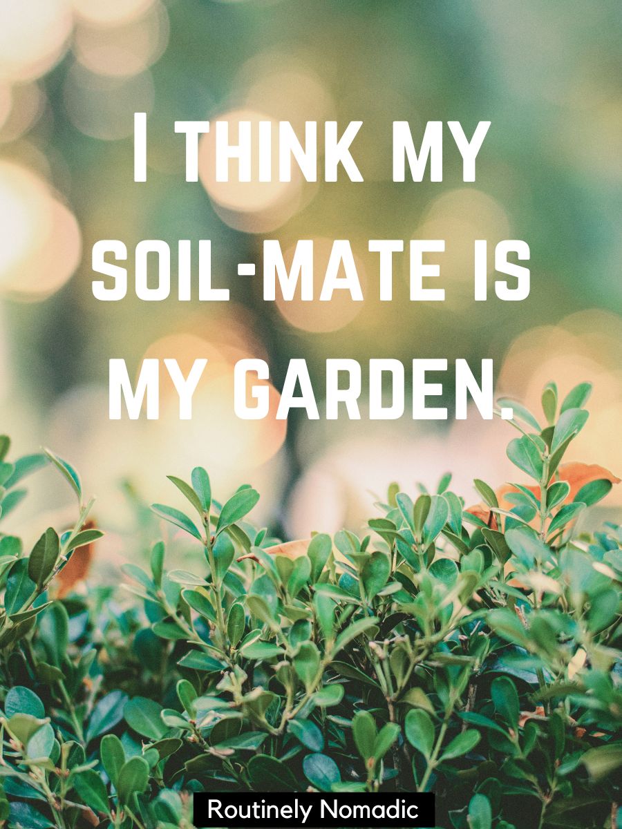 100 Short Aesthetic Green Quotes for all of Life's Green Moments ...