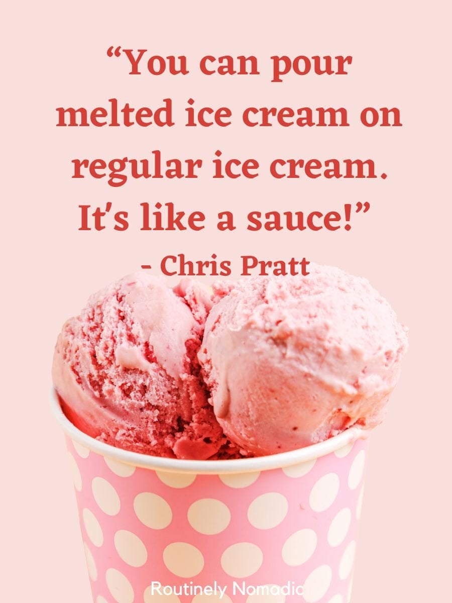 145 Delicious Dessert Captions, Quotes and Puns for that Sweet Treat ...
