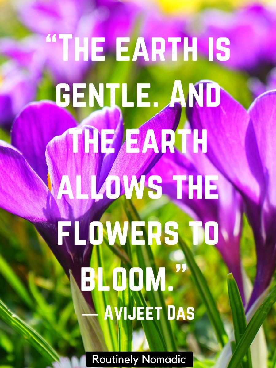 Uplifting Let Yourself Bloom Quotes and Sayings for Positive Growth ...