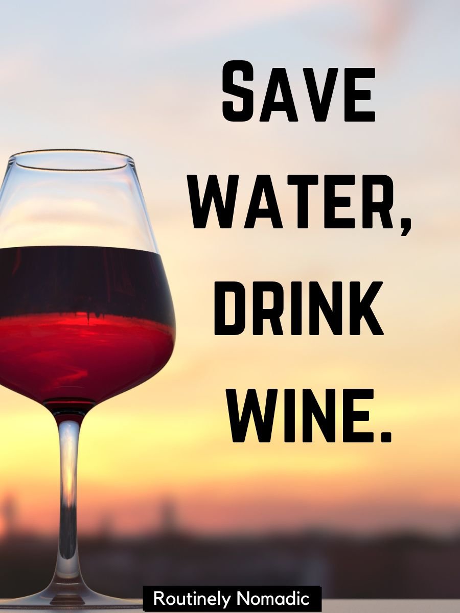 125 Short Party Quotes for that Fun with Friends Aesthetic - Routinely ...