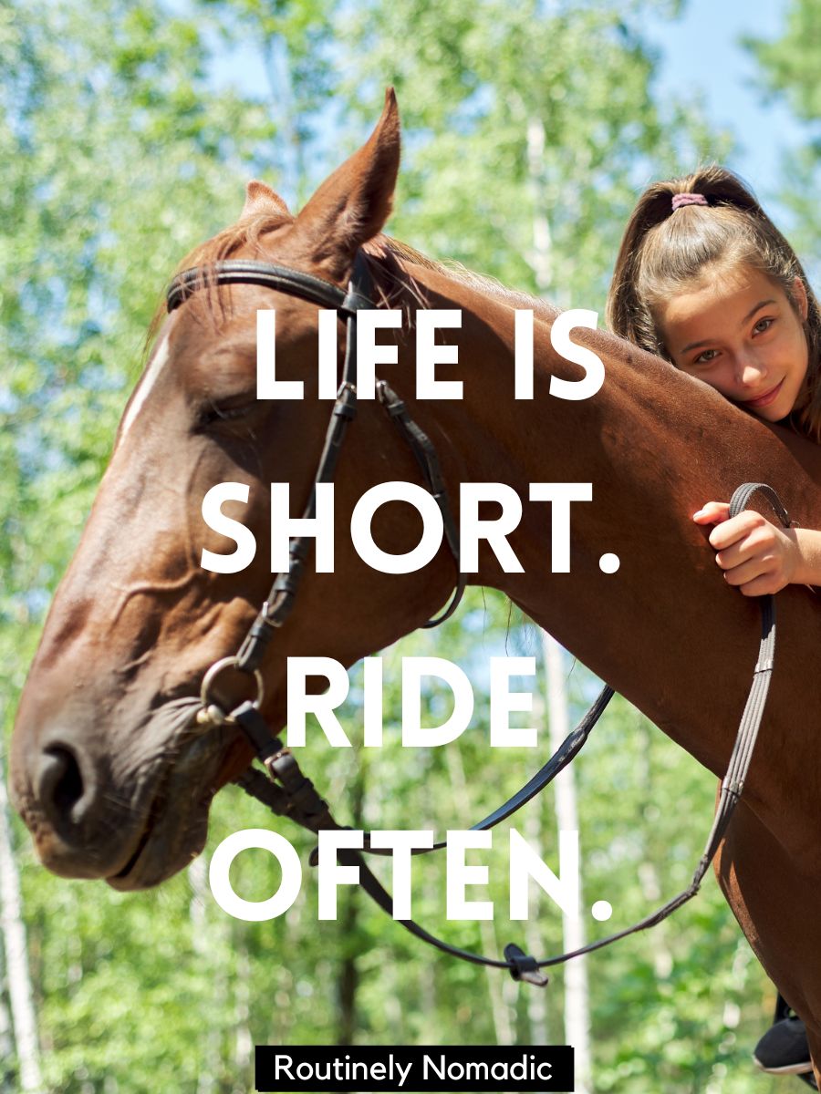 125 Meaningful Short Horse Quotes for Instagram for that Girl and Her ...