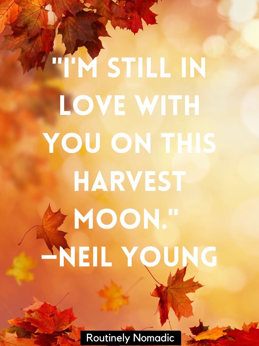 100 Fall Couple Captions for that Cute Autumn Aesthetic - Routinely Shares