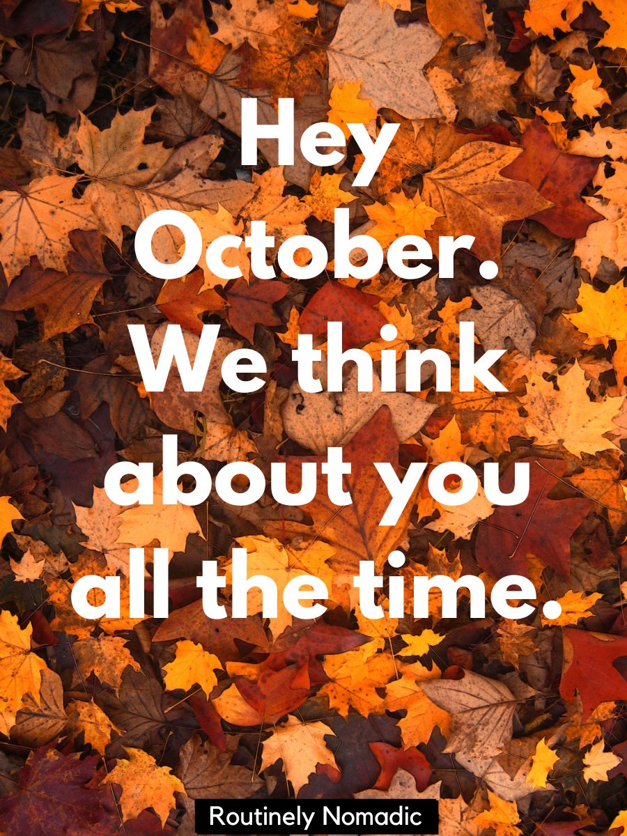 100 Hello October Quotes for When You are Happy to Welcome a New Month ...