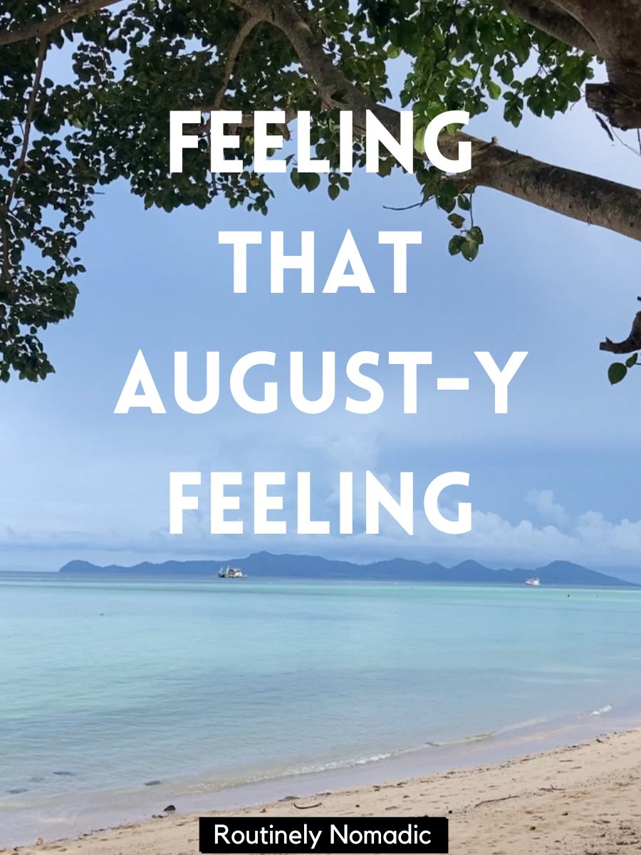 Steal the Show with the 235 Best August Letter Board Quotes - Routinely ...